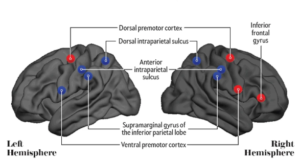 Tools and Brains, Then and Now - syn·op·sis