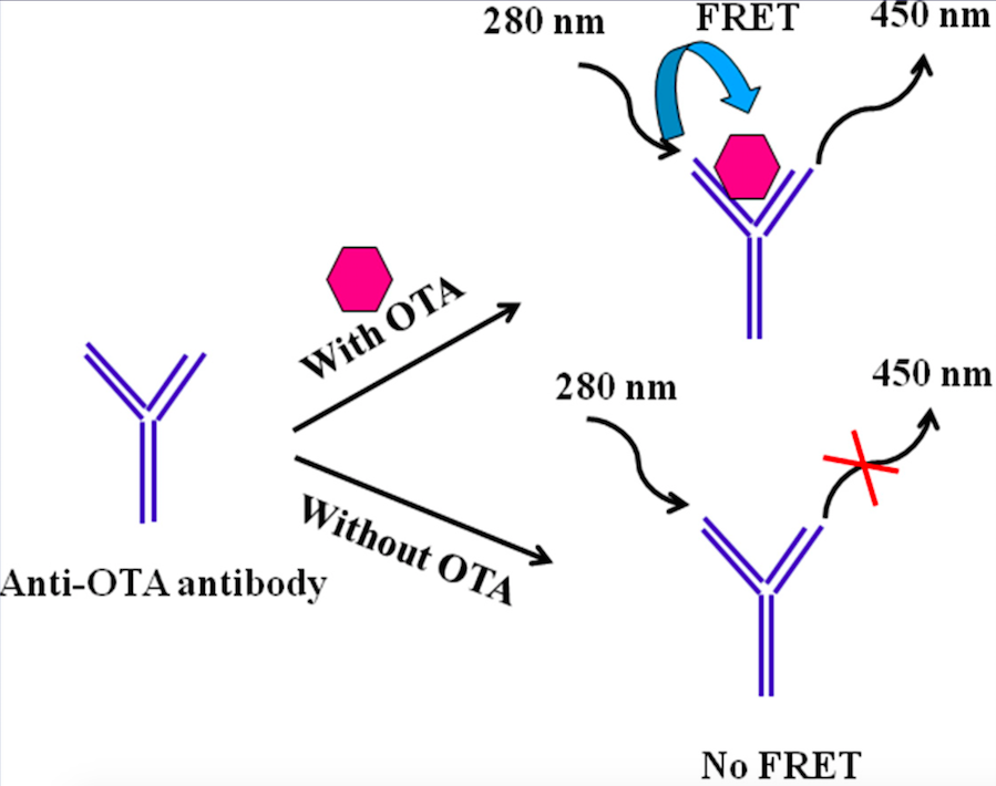 Fluorescence-based Sensors: A Twinkling Tool with Useful Implications ...