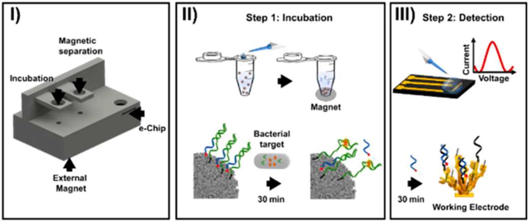 The Future of Infection Detection - syn·op·sis
