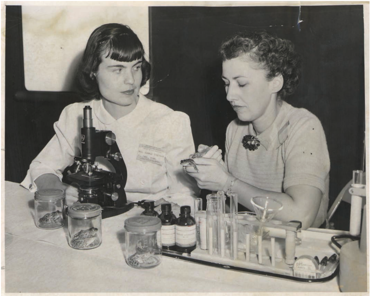 How Pregnancy Tests Led to the Decimation of Frog Populations - syn·op·sis