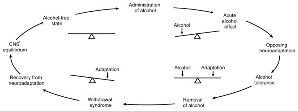 The Difference between Alcohol Withdrawal and Hangover - syn·op·sis