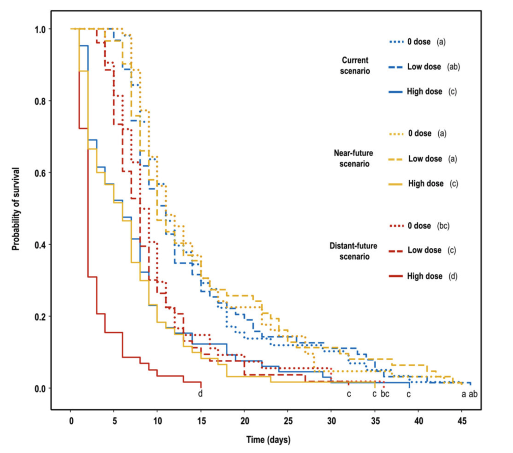 Beeware Climate Change! How Winter Temperatures Impact Bee Survival ...