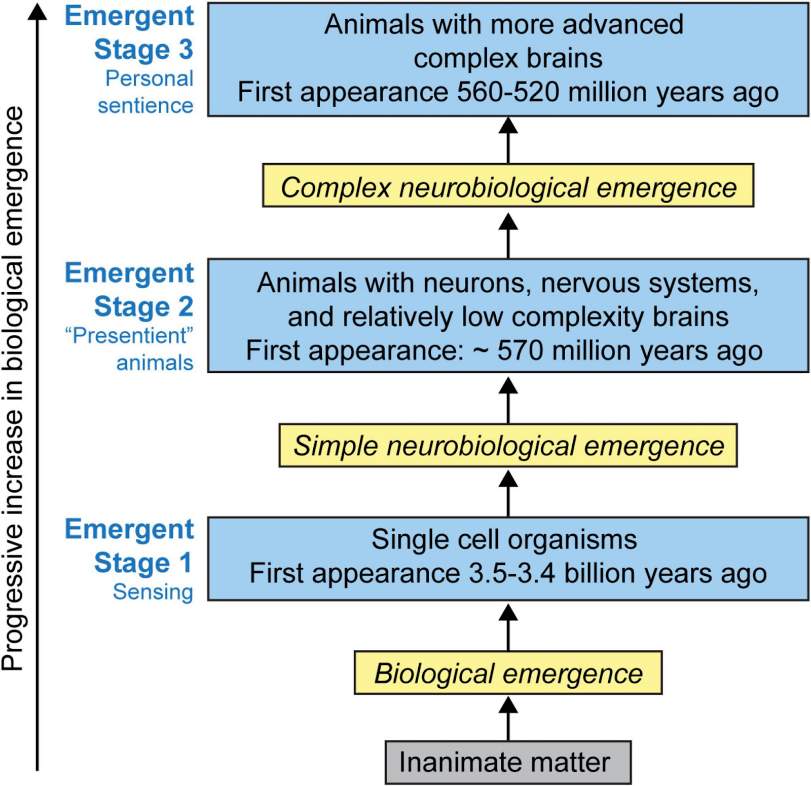 No, Plants Cannot Feel Pain - syn·op·sis